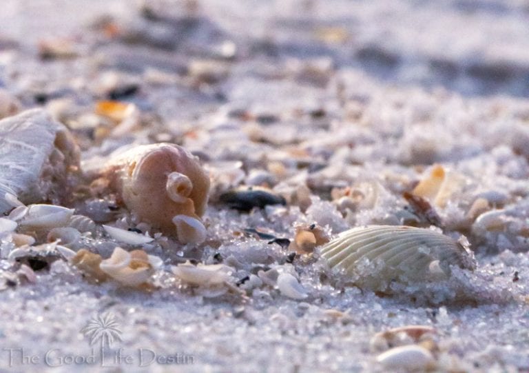 10 Fun Things to do at the Beach Besides Swimming – The Good Life Destin