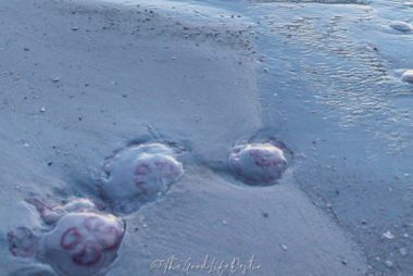 September in Destin: Guide to Weather, Crowds, Events & More - The Good ...