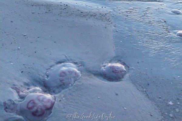 September in Destin: Guide to Weather, Crowds, Events & More - The Good ...