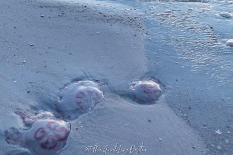 September in Destin: Guide to Weather, Crowds, Events & More - The Good ...