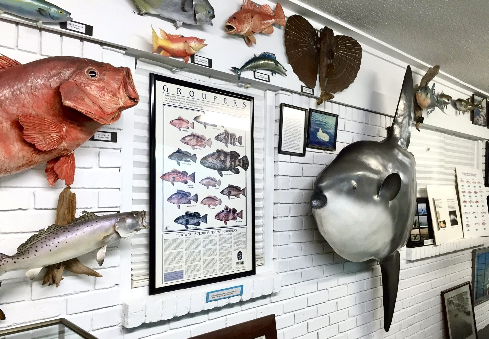 Things to do: Destin History and Fishing Museum - The Good Life Destin