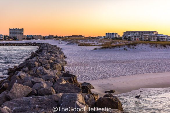 9 Things to Love about Fall in Destin - The Good Life Destin